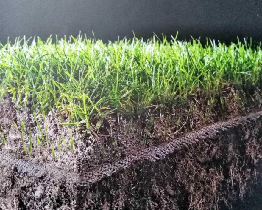 Ciudad La Plata gets 2 top of the range stadia (II) | Terracottem