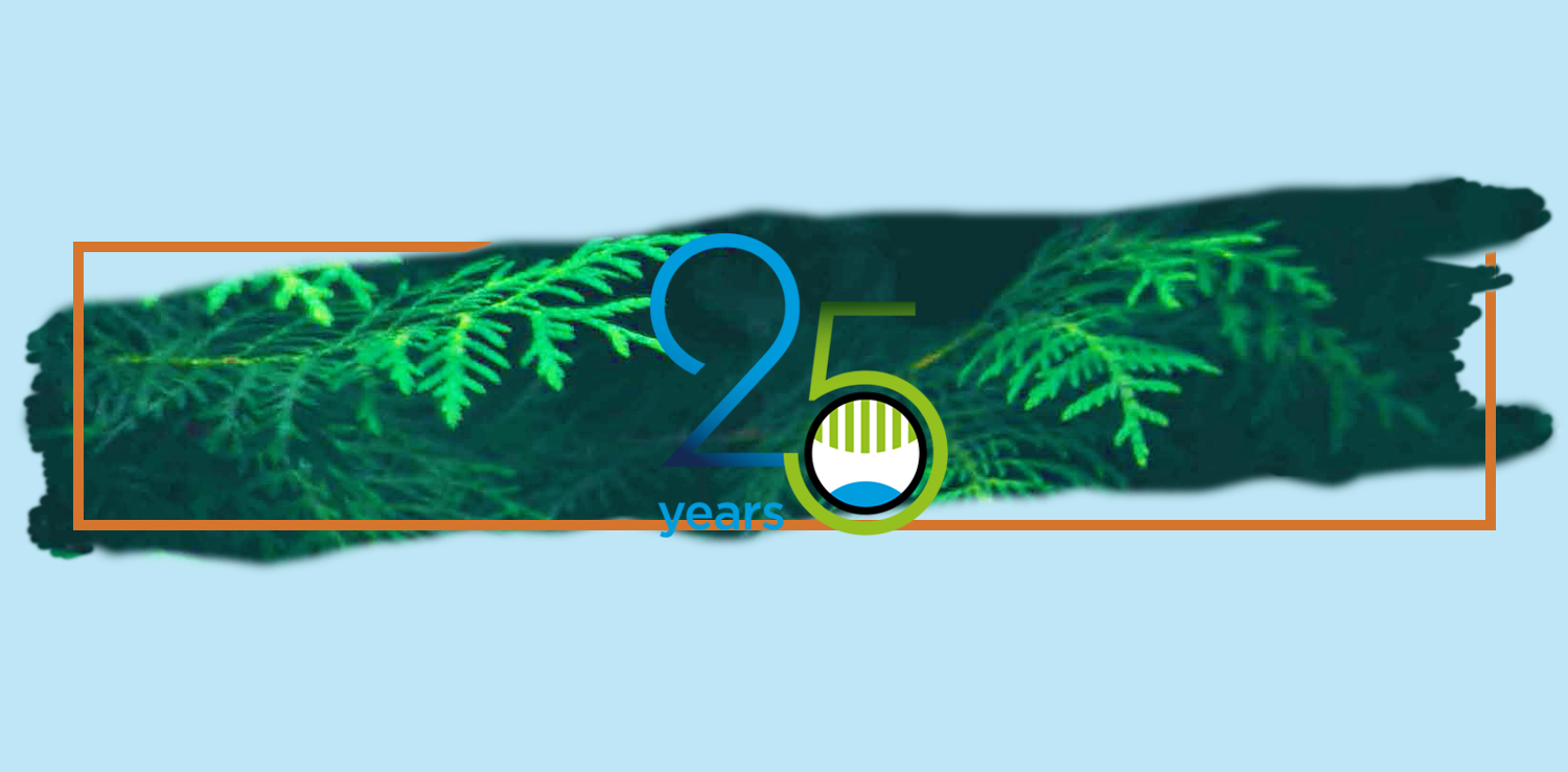 Twenty Five Stories Champion Twenty Five Years | Terracottem