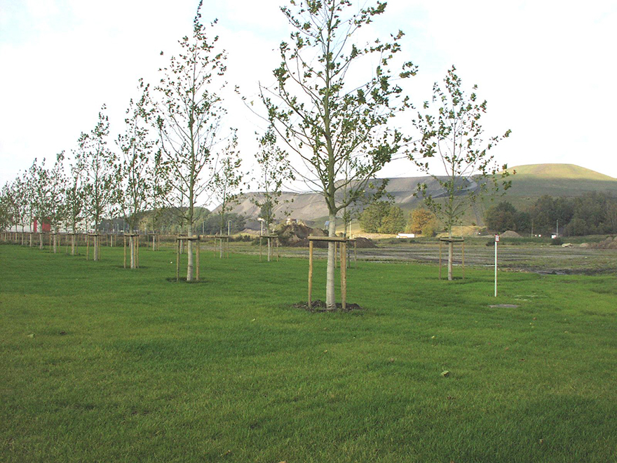 Environmental Restoration | Terracottem