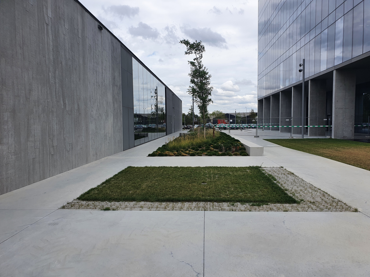 Aanleg parking in grindgazon met TerraCottem Turf | Terracottem