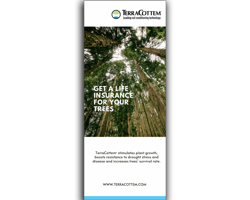 Banner 'Life Insurance' | Terracottem