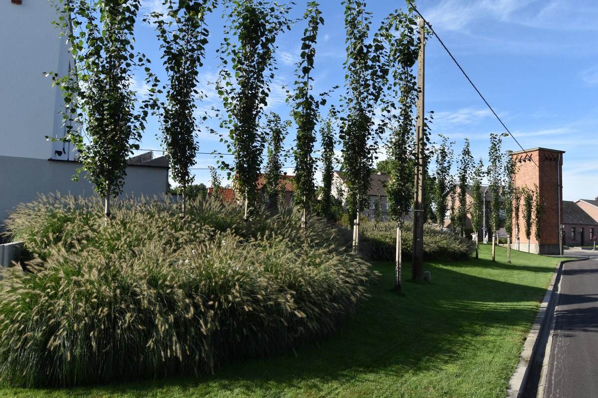 In the spotlight: Landscape architecture Vranckx | Terracottem