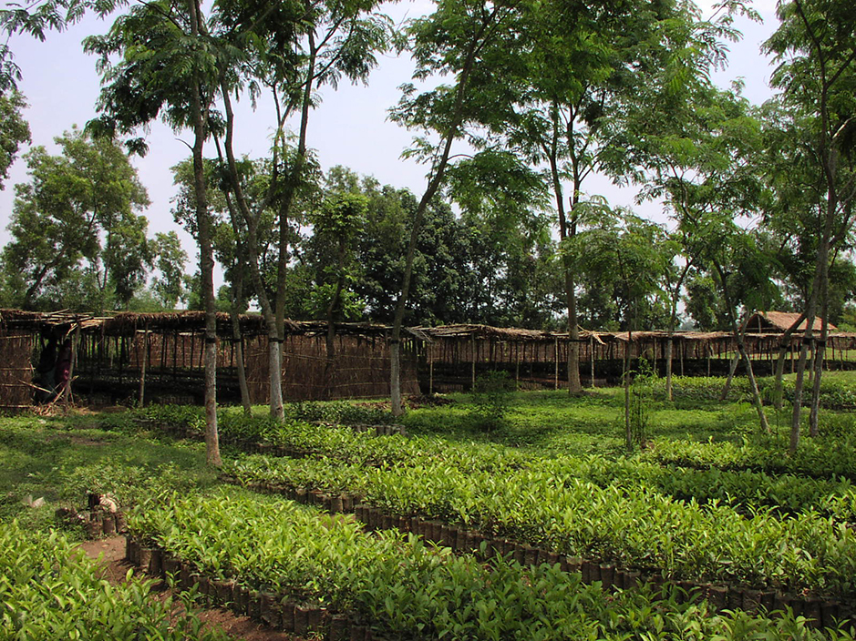 Horticulture / Agriculture | Terracottem