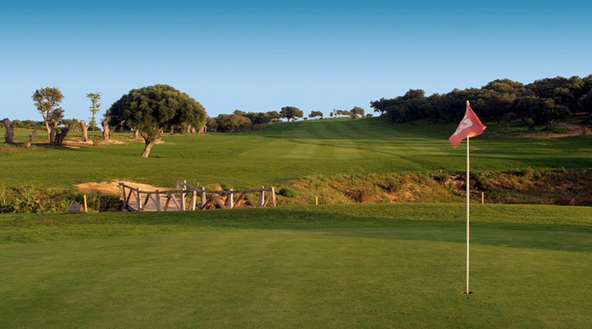 Golf | Terracottem
