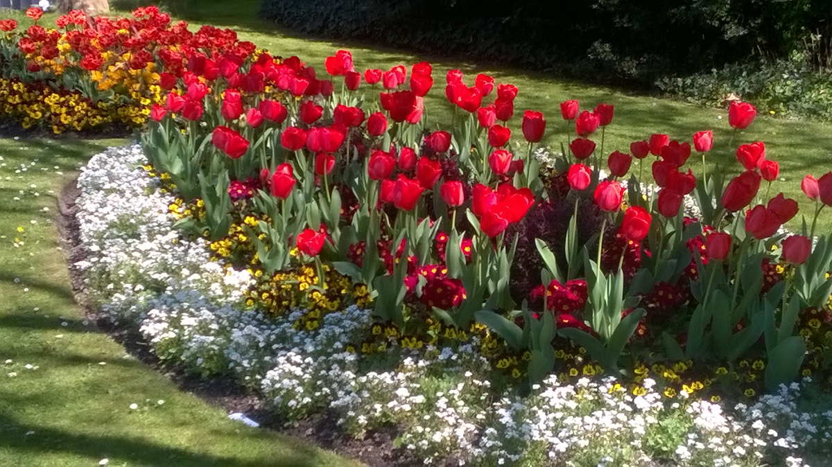 Britain in Bloom - Another Award for Fareham! | Terracottem