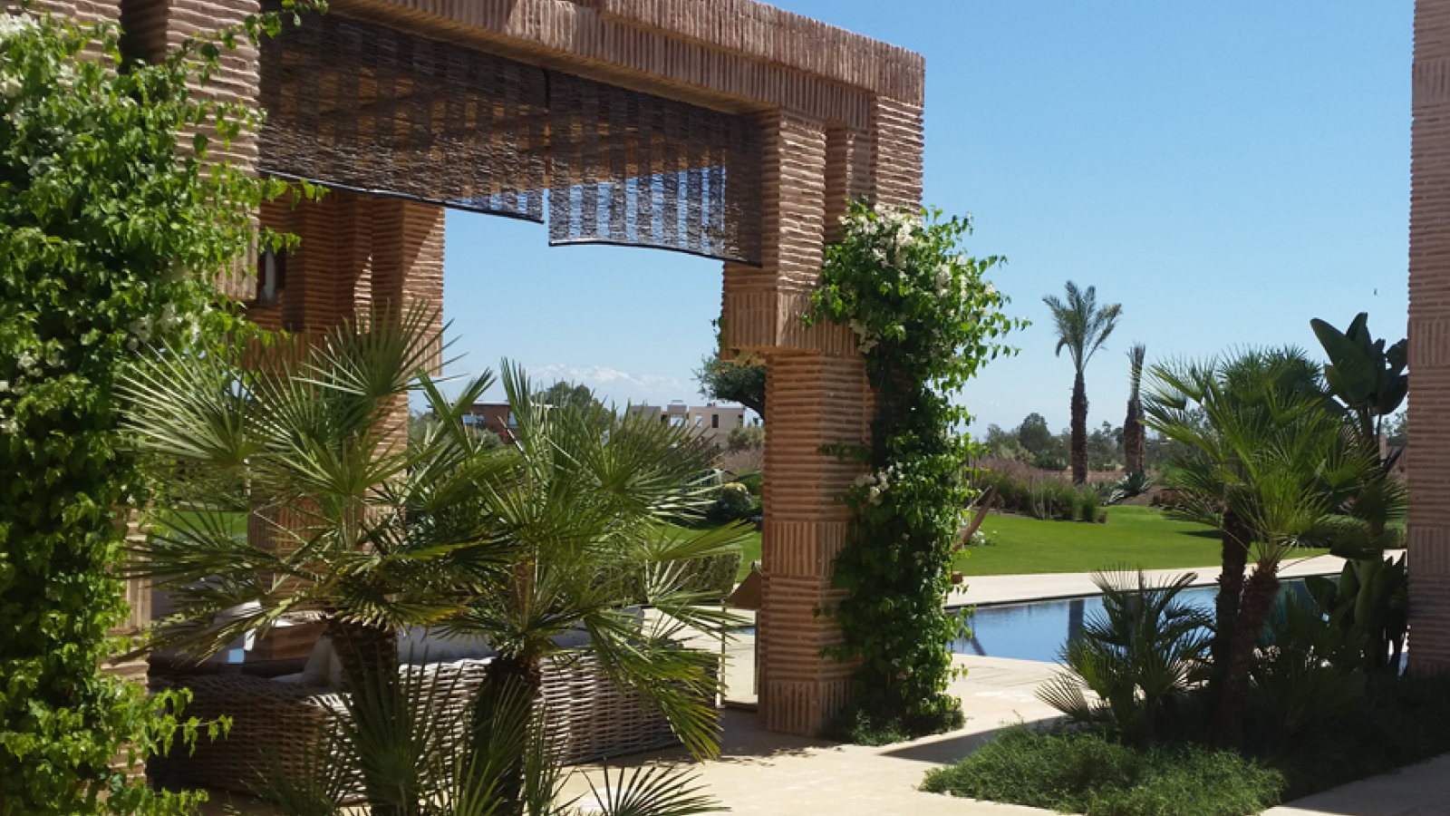 Tree Shrub Planting Terracottem