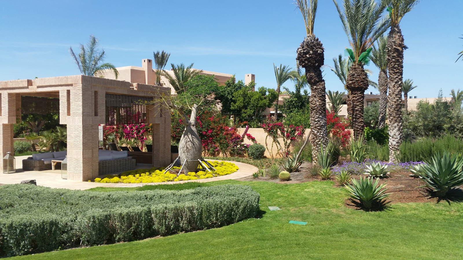 Tree Shrub Planting Terracottem