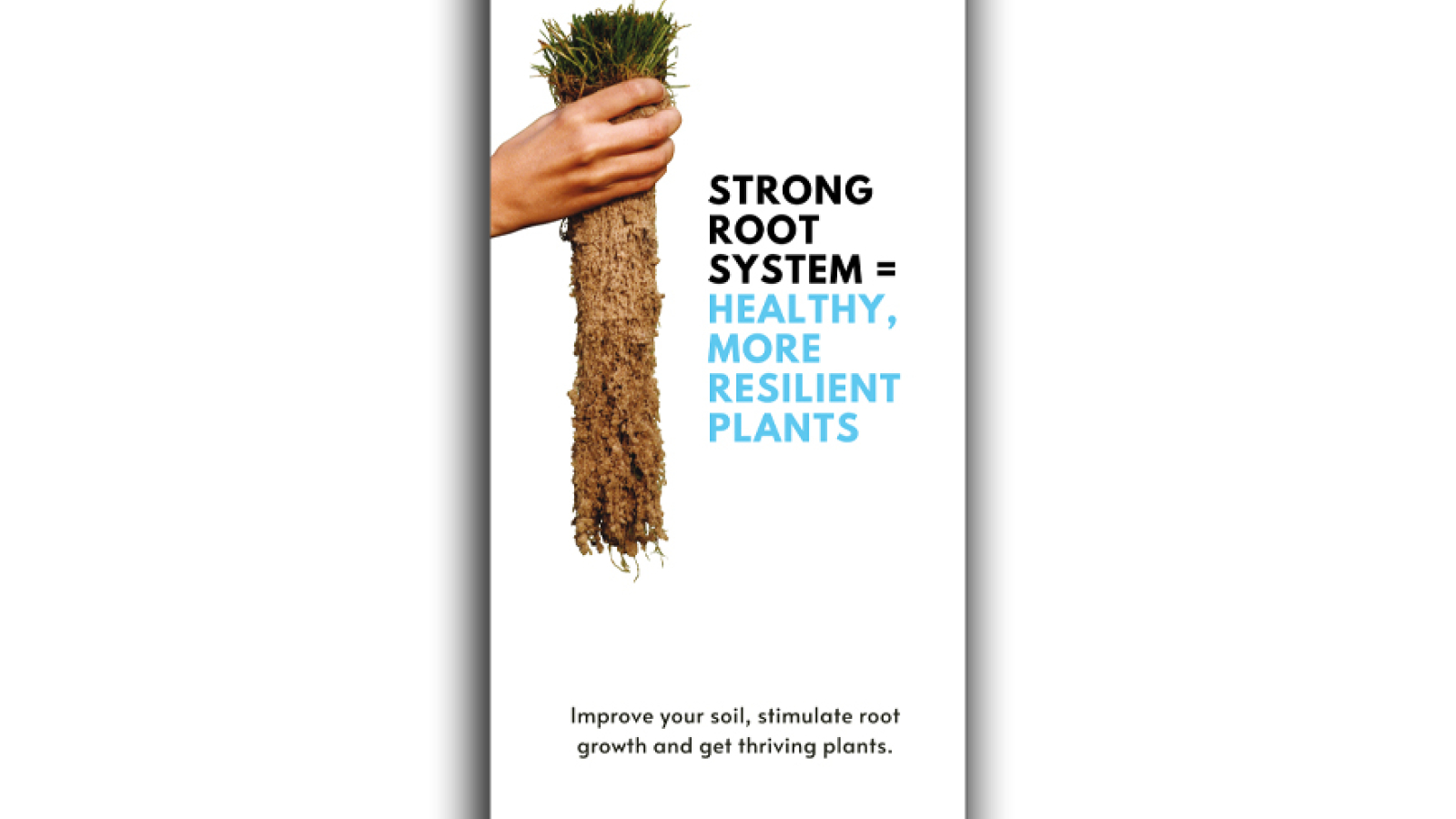 Banner 'Strong Roots' | Terracottem