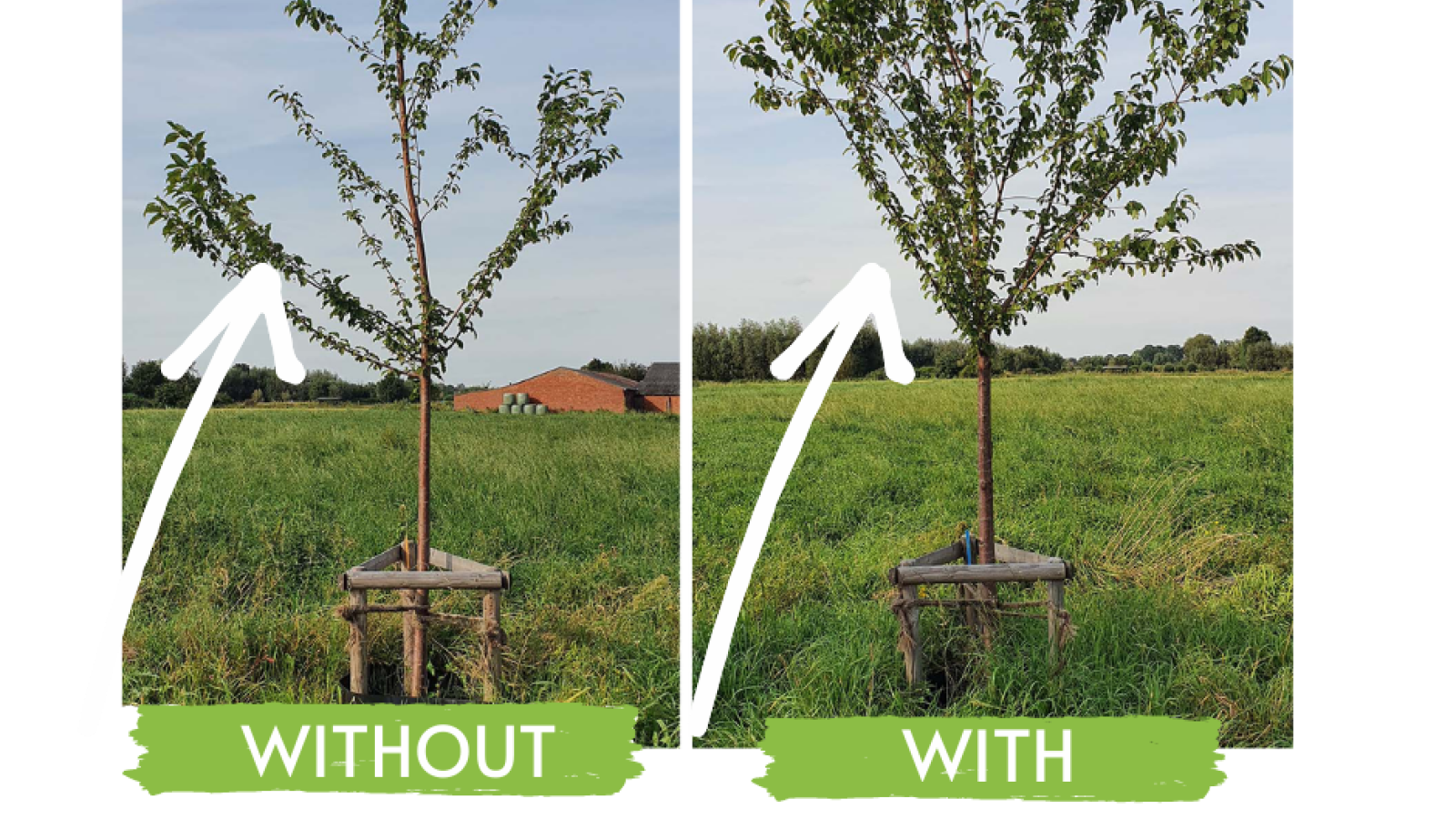 Is your garden ready for long-lasting drought and irregular rainfall ...