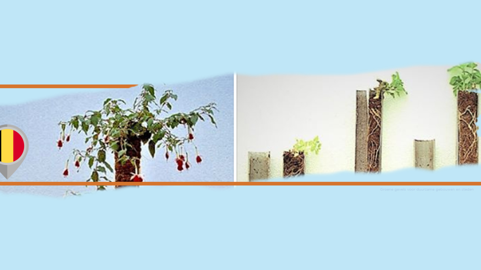 An interesting experiment on tree saplings by Prof. Dr. Willem Van ...