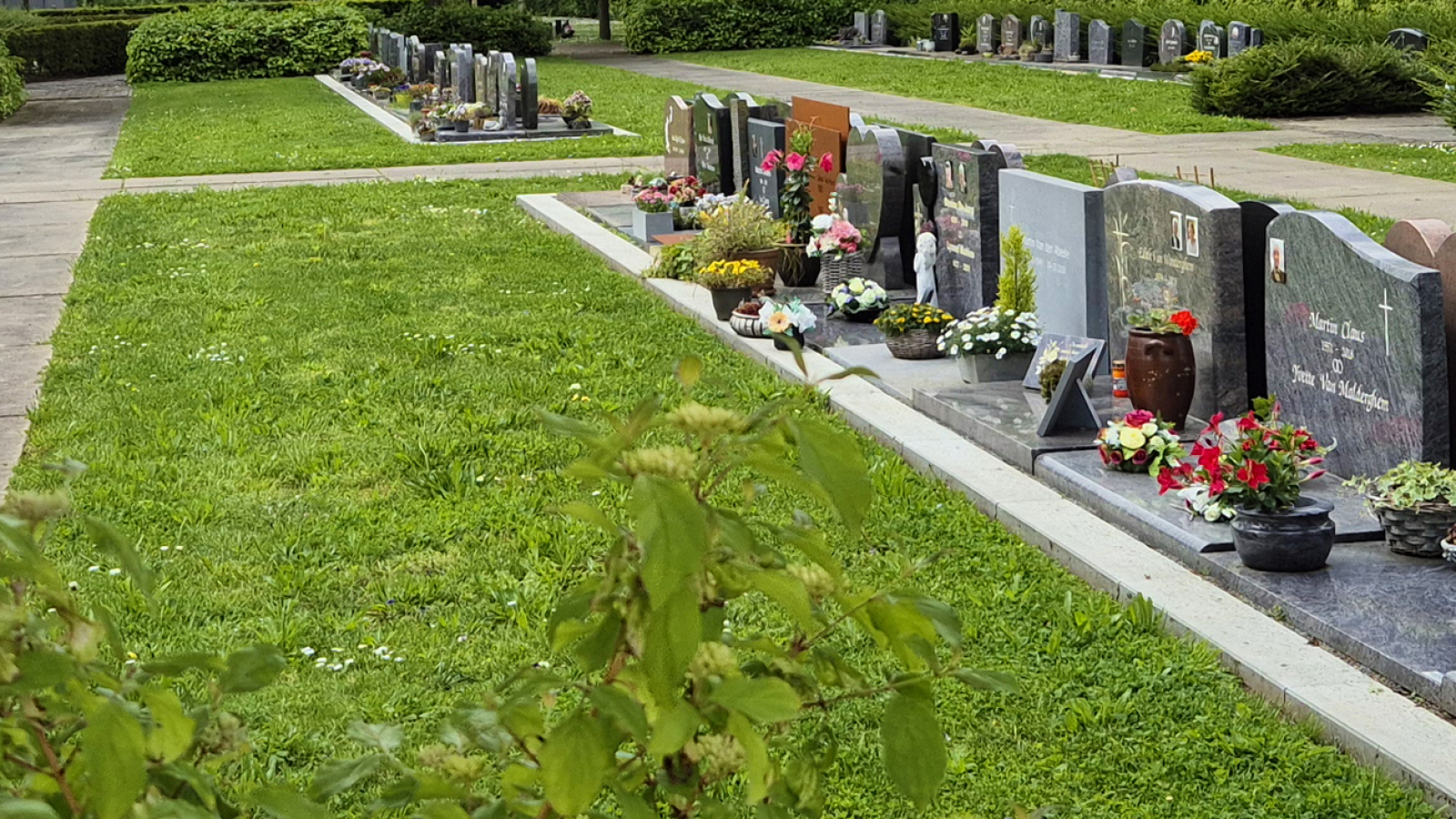 Sustainable Planting for Cemeteries: Less Water, Less Work | Terracottem