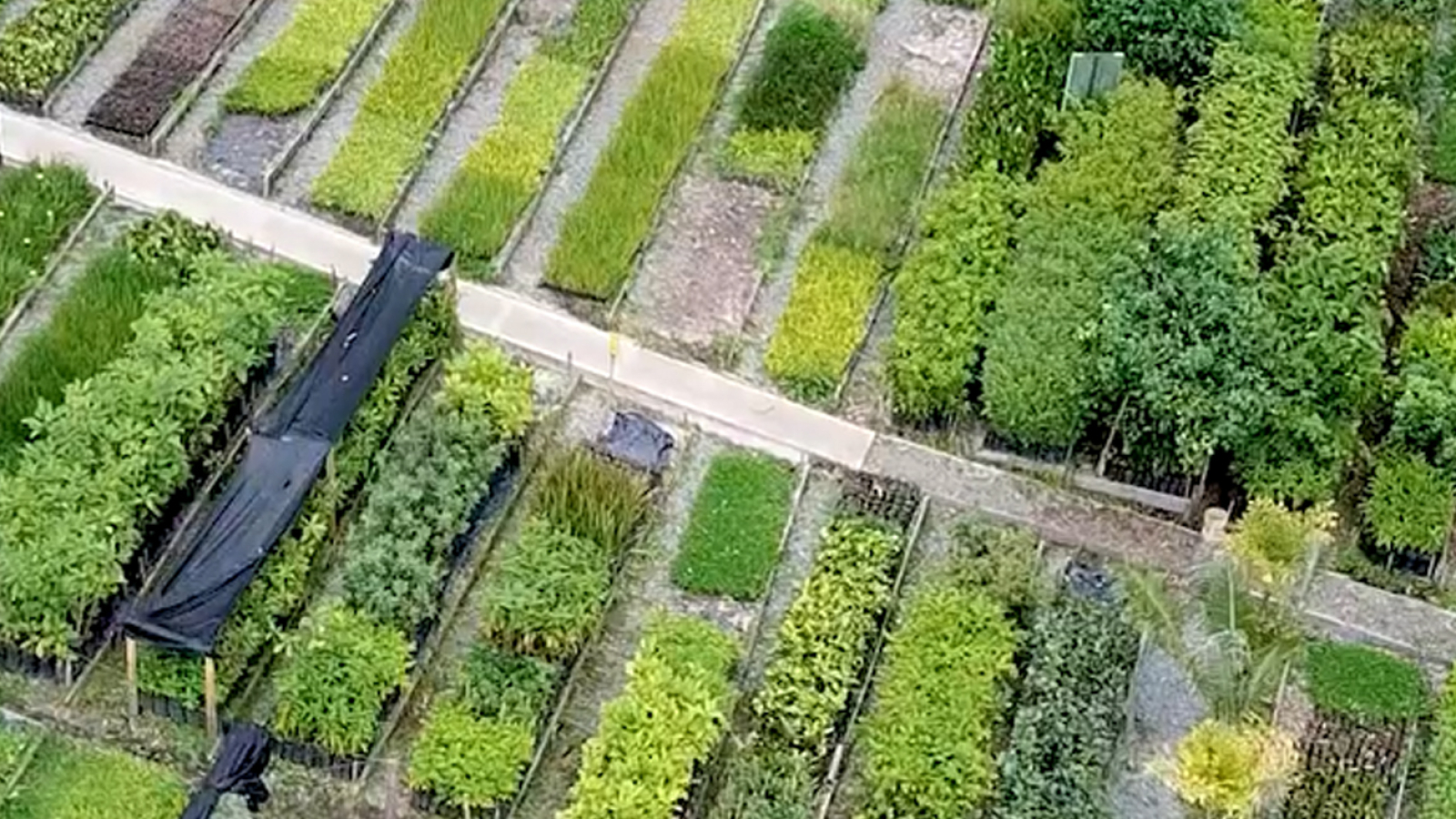 Everything green | Terracottem