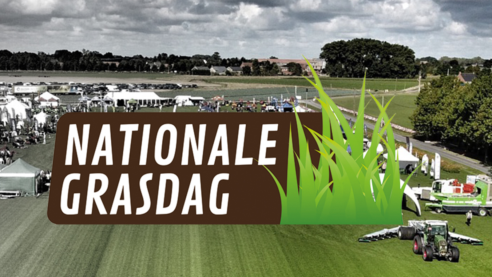 The history of National Grass Day | Terracottem