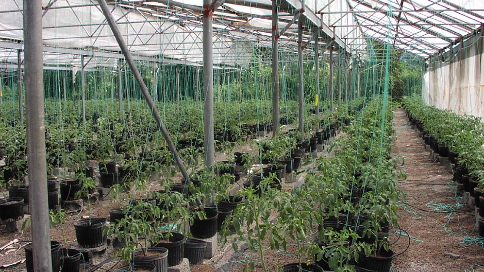 Horticulture / Agriculture | Terracottem