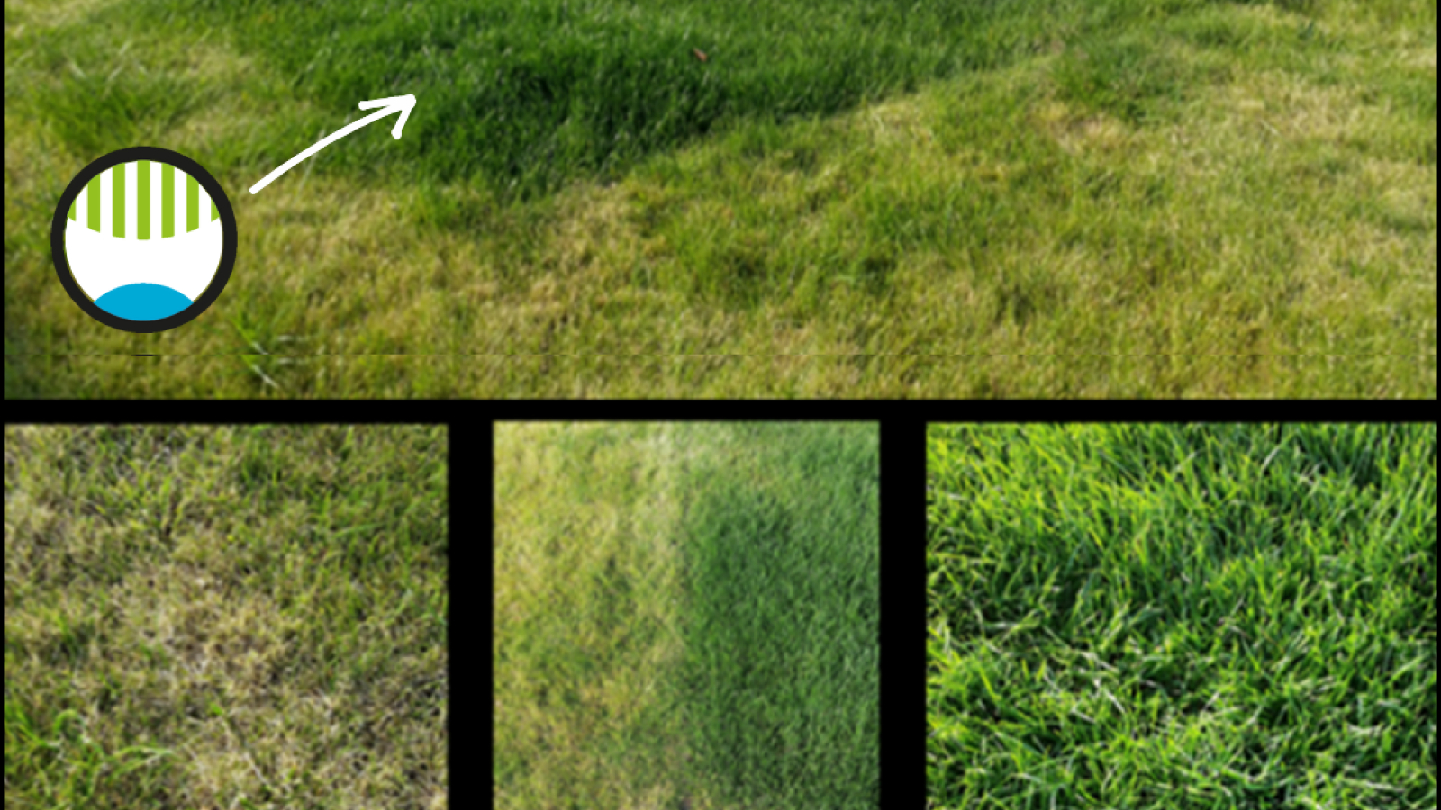 Is your garden ready for long-lasting drought and irregular rainfall ...